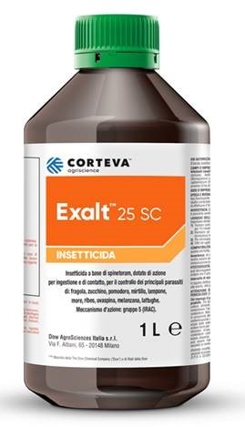 Due nuovi insetticidi proposti da Corteva Agriscience™ | AboutPlants