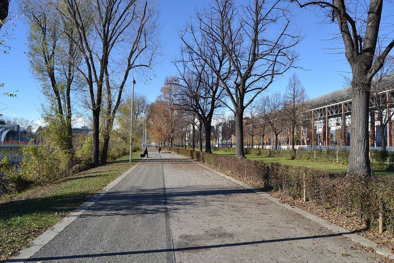 Il parco Dora, esempio di trasformazione post-industriale | AboutPlants